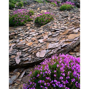 Bruce Jackson - Tumalo Art Co.